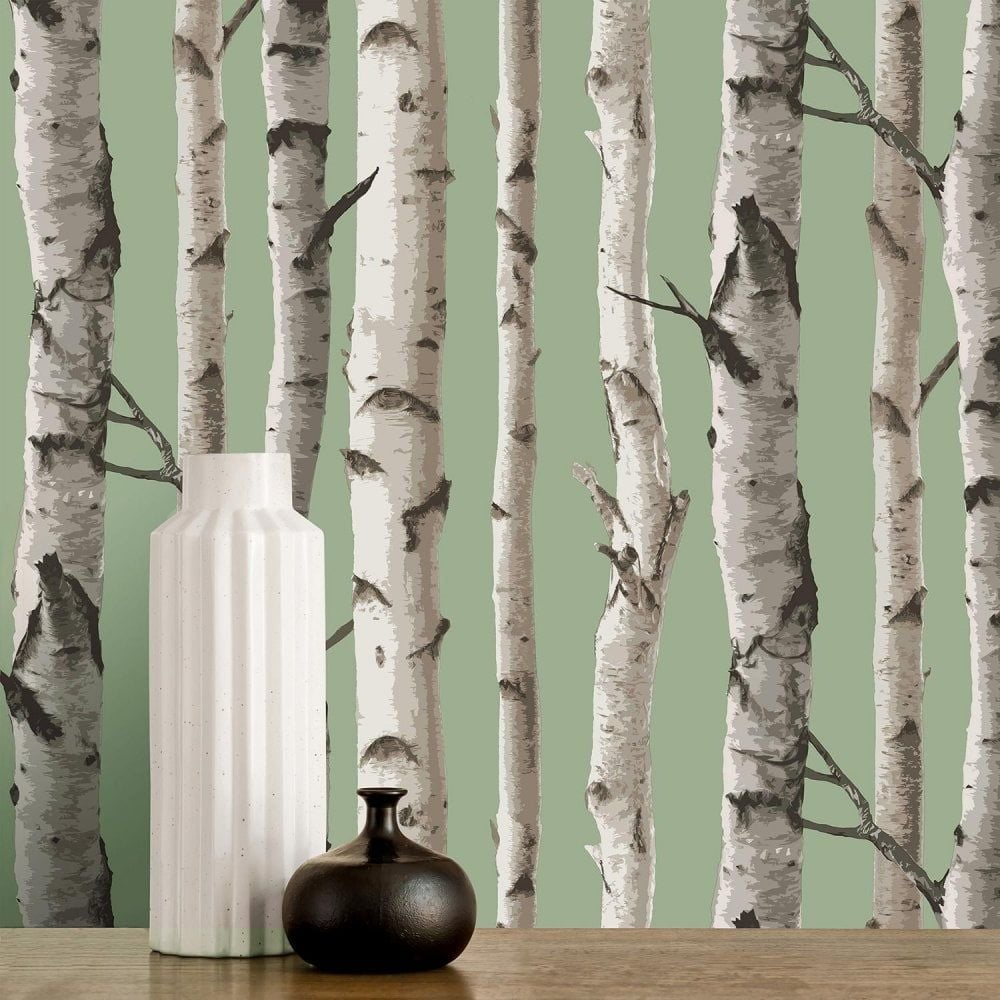 Birch Trees Wallpaper | Wallpaper Shop