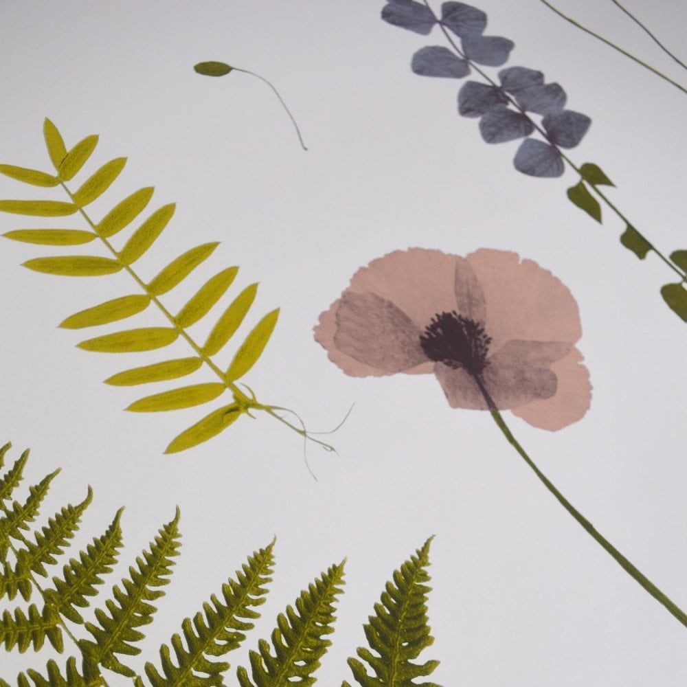 Herbarium Wallpaper | Wallpaper Shop