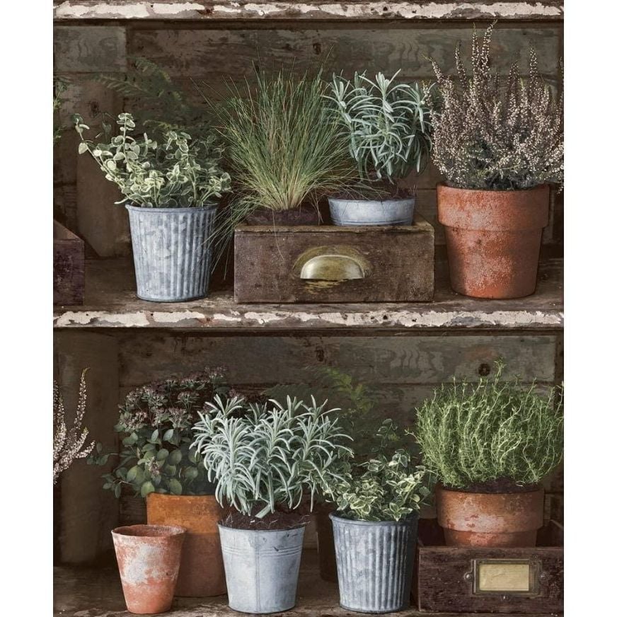 Grandeco Wallpaper - Wallpapershop.co.uk